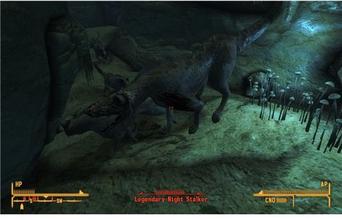 Fallout New Vegas Legendary Cazador